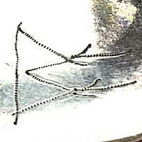 Benally, Daniel (Navajo)