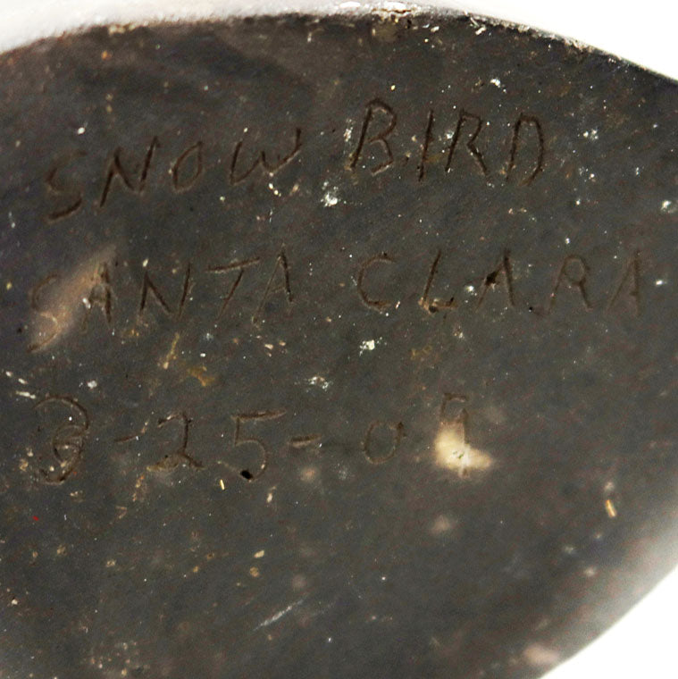 Snowbird, Wayne (Santa Clara)