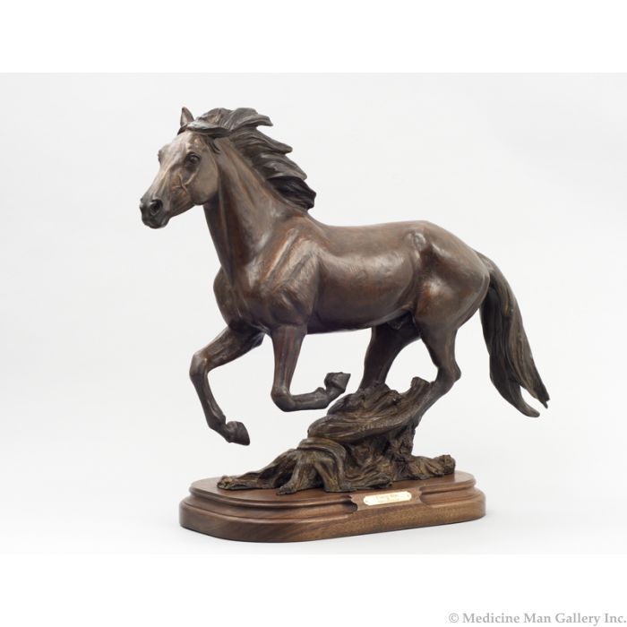 Veryl Goodnight, NSS - Unsung Hero