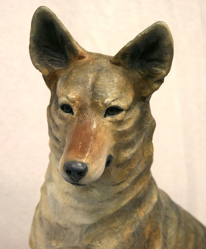 Star Liana York - Coyote III - PLEASE CALL FOR AVAILABILITY AND PRICE